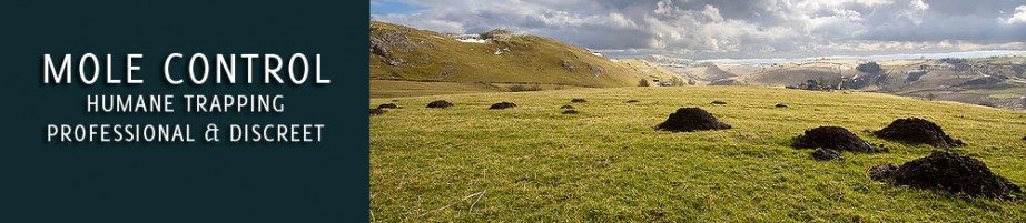 Mole Control Professional Rabbit and Mole Catcher
