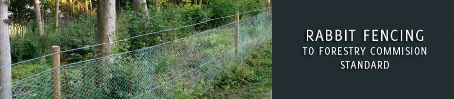 Rabbit Fencing | Mole Control Professional Rabbit and Mole Catcher