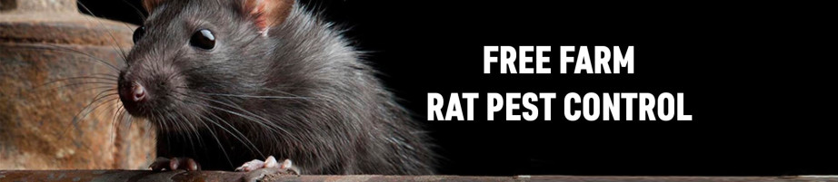 Free Farm Rat Pest Control | Mole Control Professional Rabbit and Mole ...